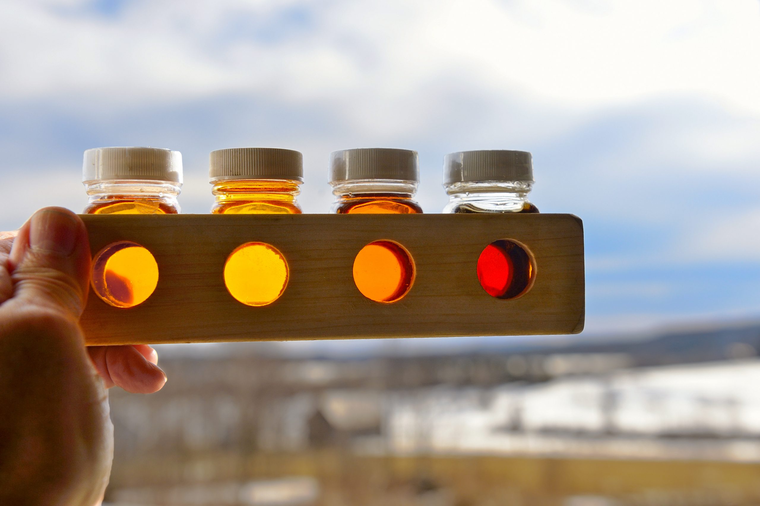 Vermont Maple Syrup Grading Kit | Blain's Farm & Fleet Blog