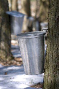 How to Test Maple Syrup Density | Blain's Farm & Fleet Blog