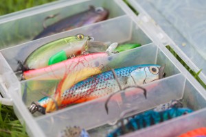 Bait Beginner's Guide | Blain's Farm & Fleet Blog