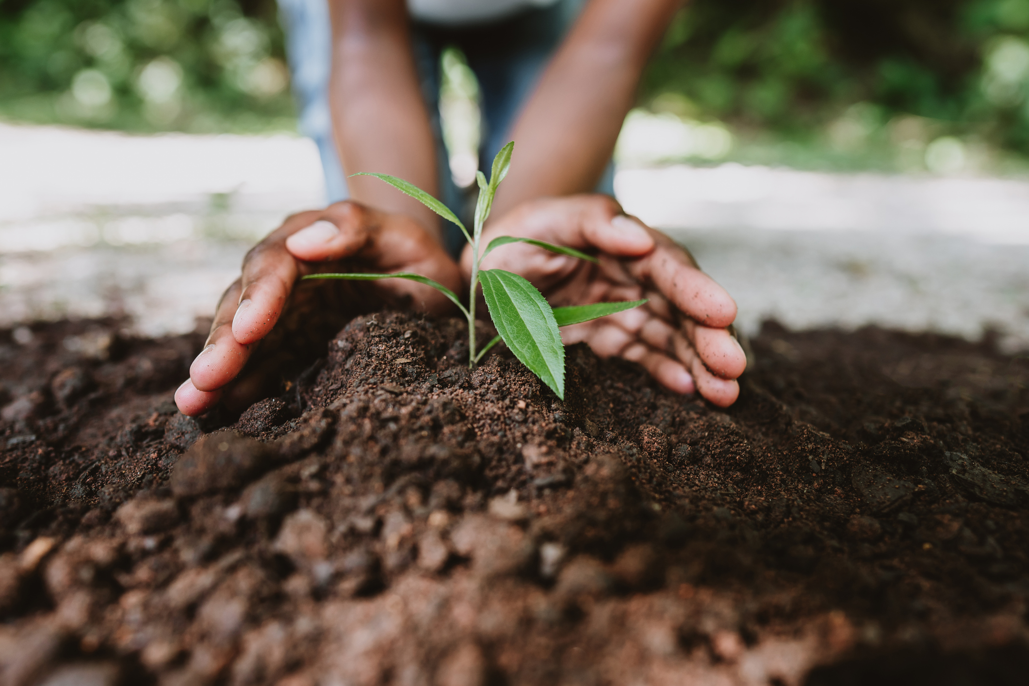 20 Ways to Go Green This Earth Day | Blain's Farm & Fleet Blog