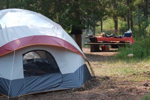 Campsite Selection Tips | Blain's Farm & Fleet Blog