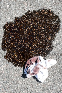 5 Steps to Clean Up Spilled Oil | Blain's Farm & Fleet Blog