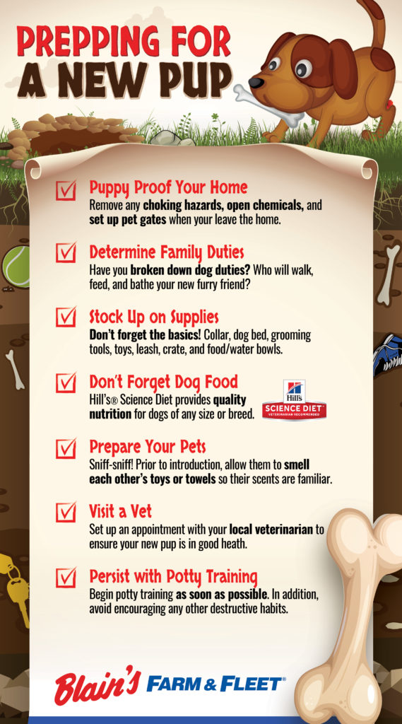 New Puppy Preparation Tips | Blain's Farm & Fleet Blog