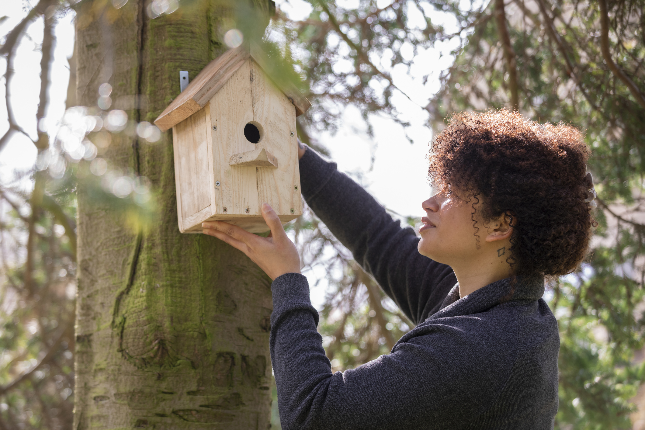 The Ultimate Birdhouse Buying Guide | Blain's Farm & Fleet Blog