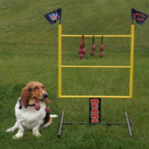 Ladder Golf Like a Pro | Blain's Farm & Fleet Blog