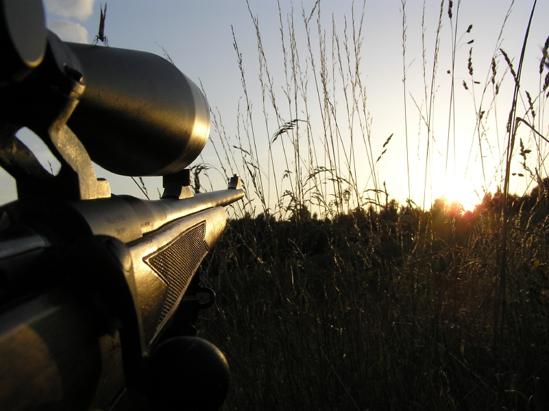 Which Hunting Scope is Right for Me? | Blain's Farm & Fleet Blog