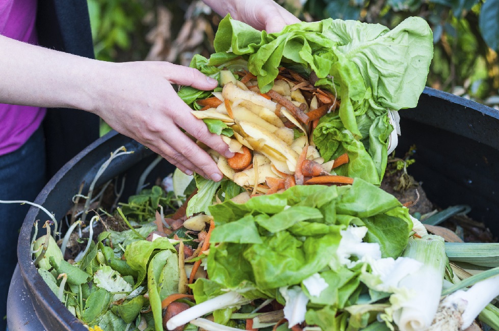 How to Home Compost | Blain's Farm & Fleet Blog