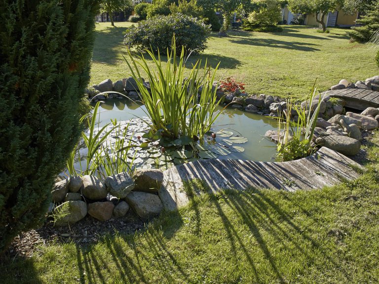 Planting Water Plants in Floating Pots | Blain's Farm & Fleet Blog