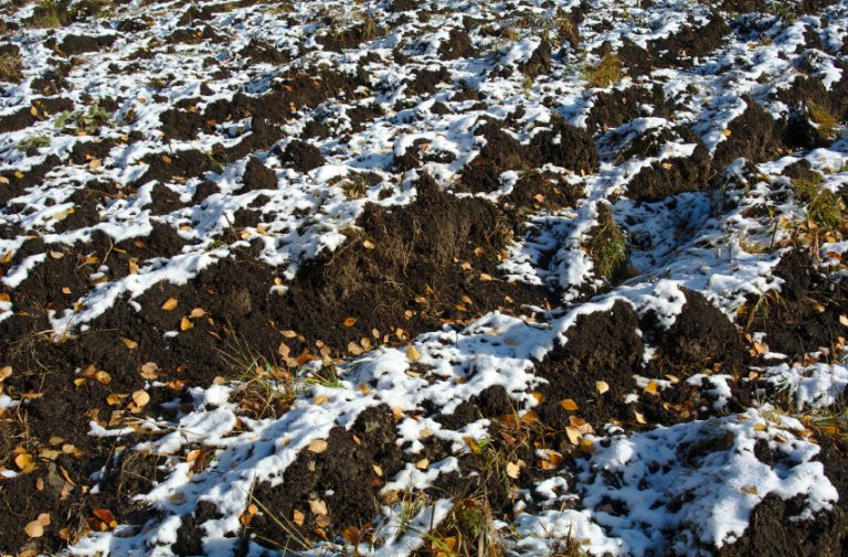 Tips for Winter Composting | Blain's Farm & Fleet Blog