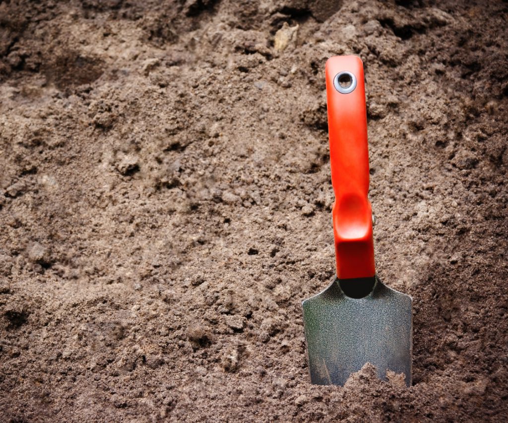 How to Do a Soil Test | Blain's Farm & Fleet Blog