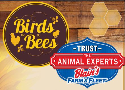 Learn About Beekeeping with Our Bee Experts! | Blain's Farm & Fleet Blog