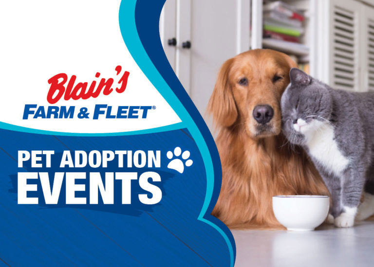 Blain's Farm & Fleet Pet Adoption Events | Blain's Farm & Fleet Blog