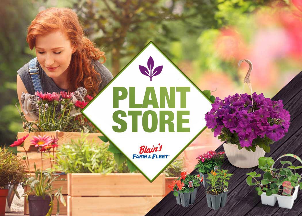 PlantStore-1050x750 | Blain's Farm & Fleet Blog
