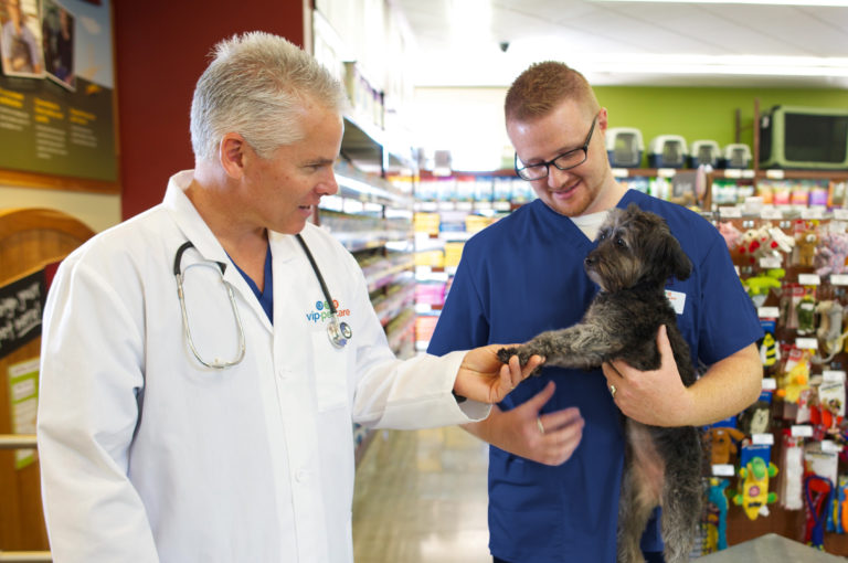 VIP Petcare Clinics at Blain's Farm & Fleet | Blain's Farm & Fleet Blog