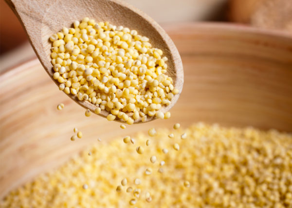 What Do Birds Eat? | Blain's Farm & Fleet Blog