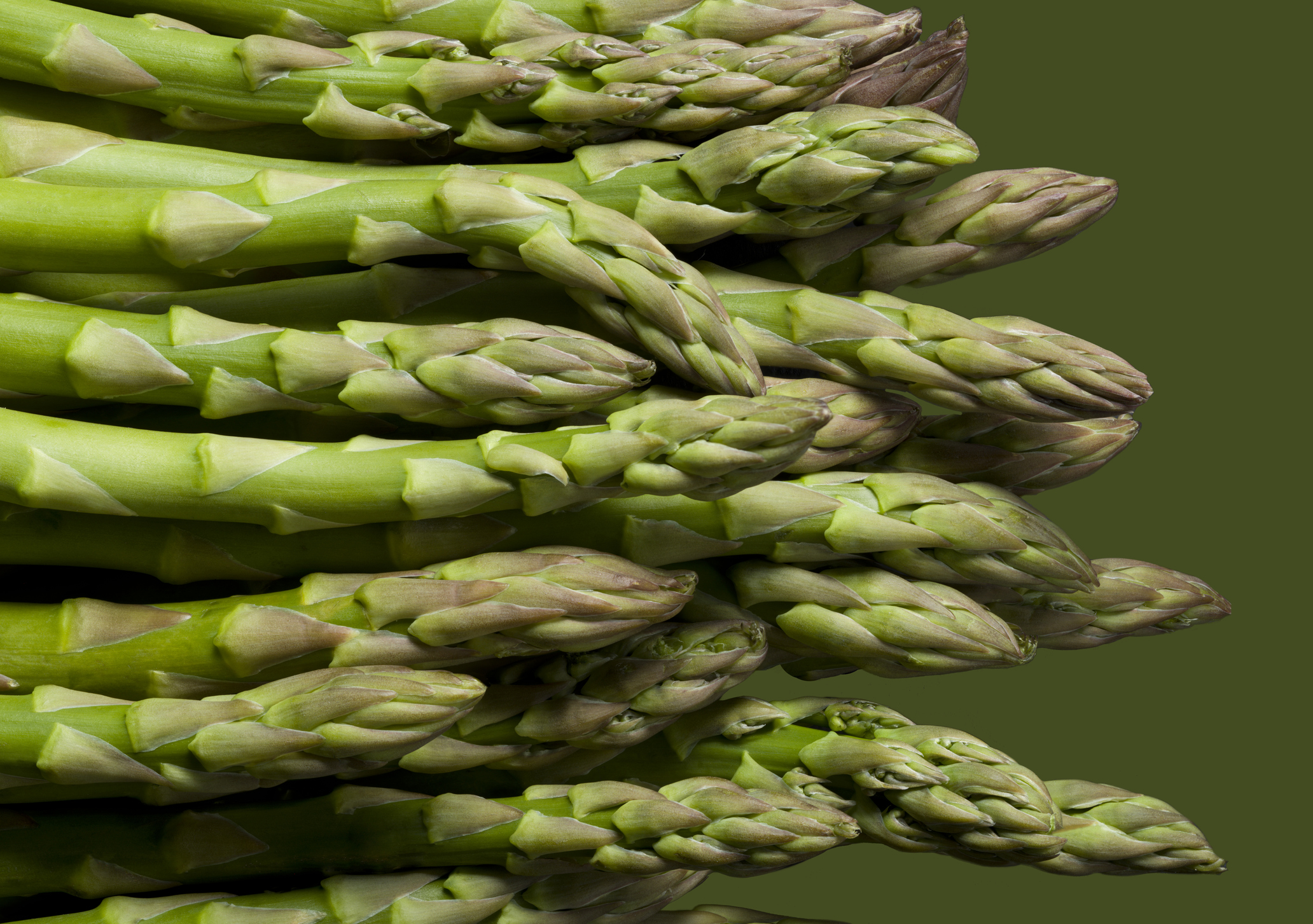How To Grow Your Own Asparagus | Blain's Farm & Fleet