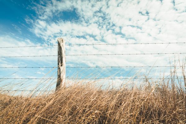 Fencing Knots: Which One is Best For You? | Blain's Farm & Fleet Blog