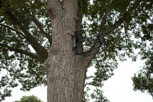 Tree Stand | Blain's Farm & Fleet