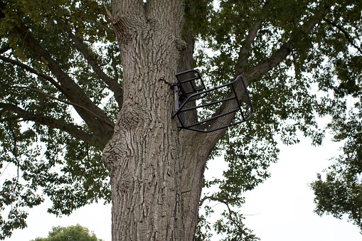 Getting the Most Out of Your Tree Stand | Blain's Farm & Fleet Blog