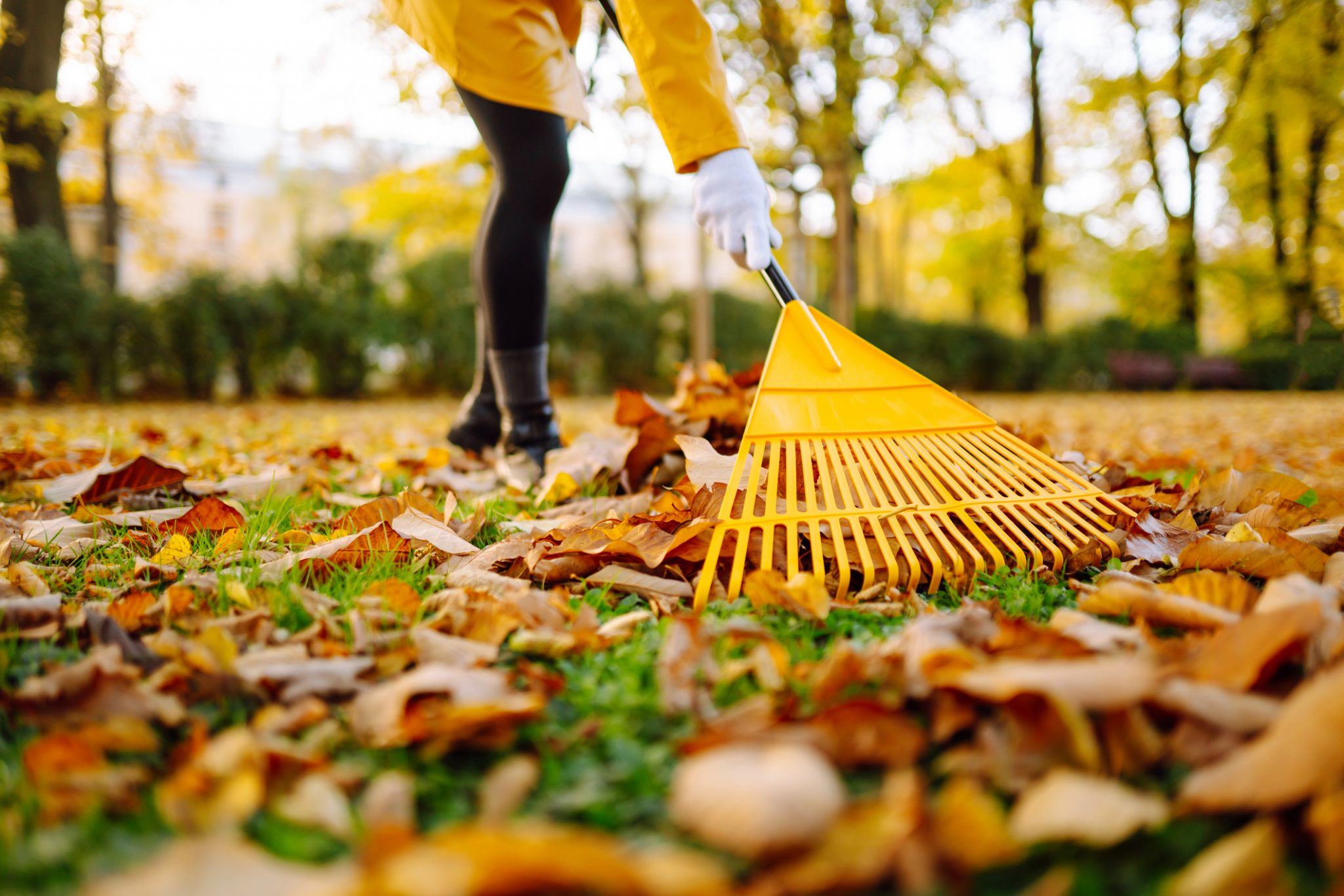 5 Easy Fall Lawn Care Tips | Blain's Farm & Fleet Blog