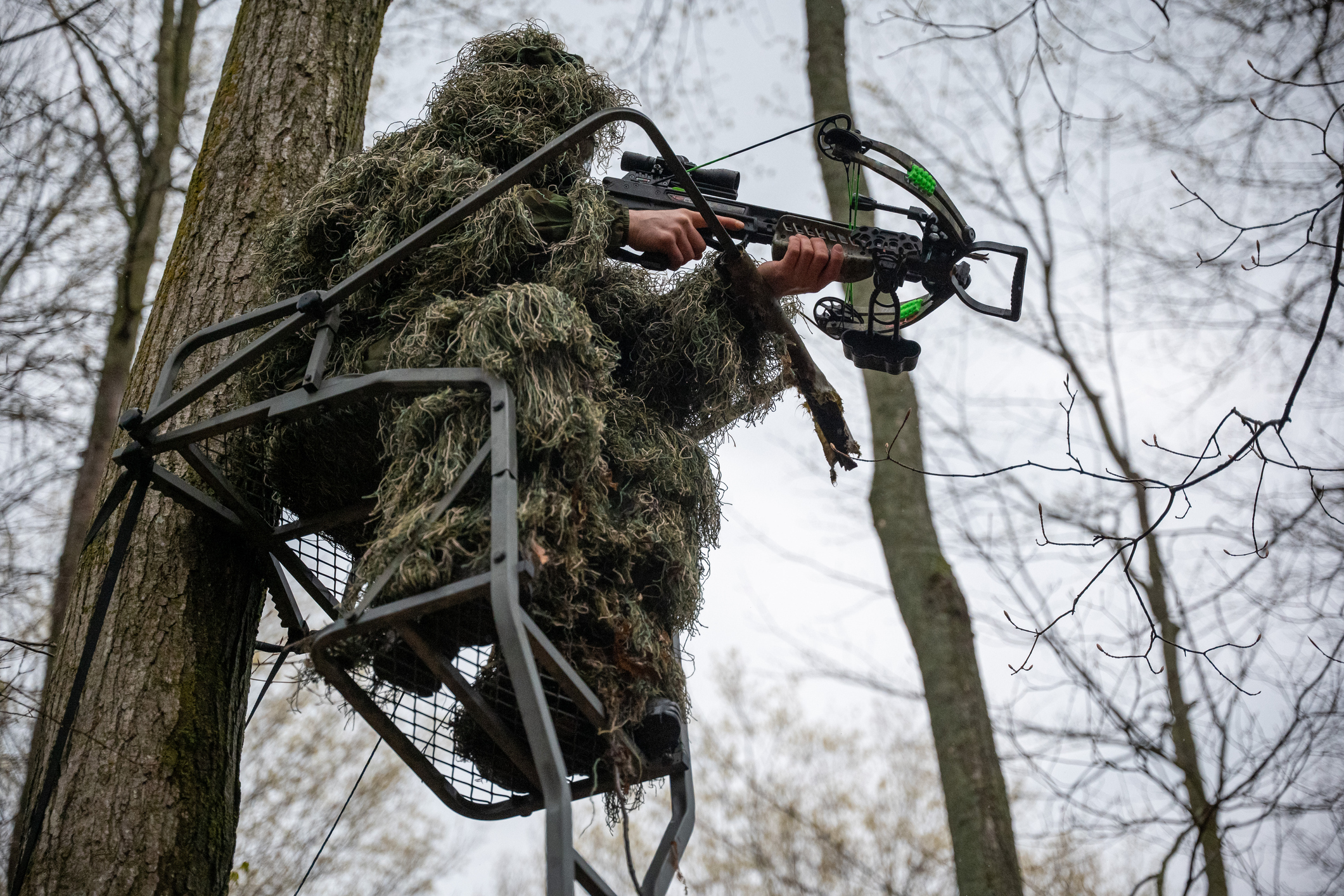 hunting in a tree stand | Blain's Farm & Fleet