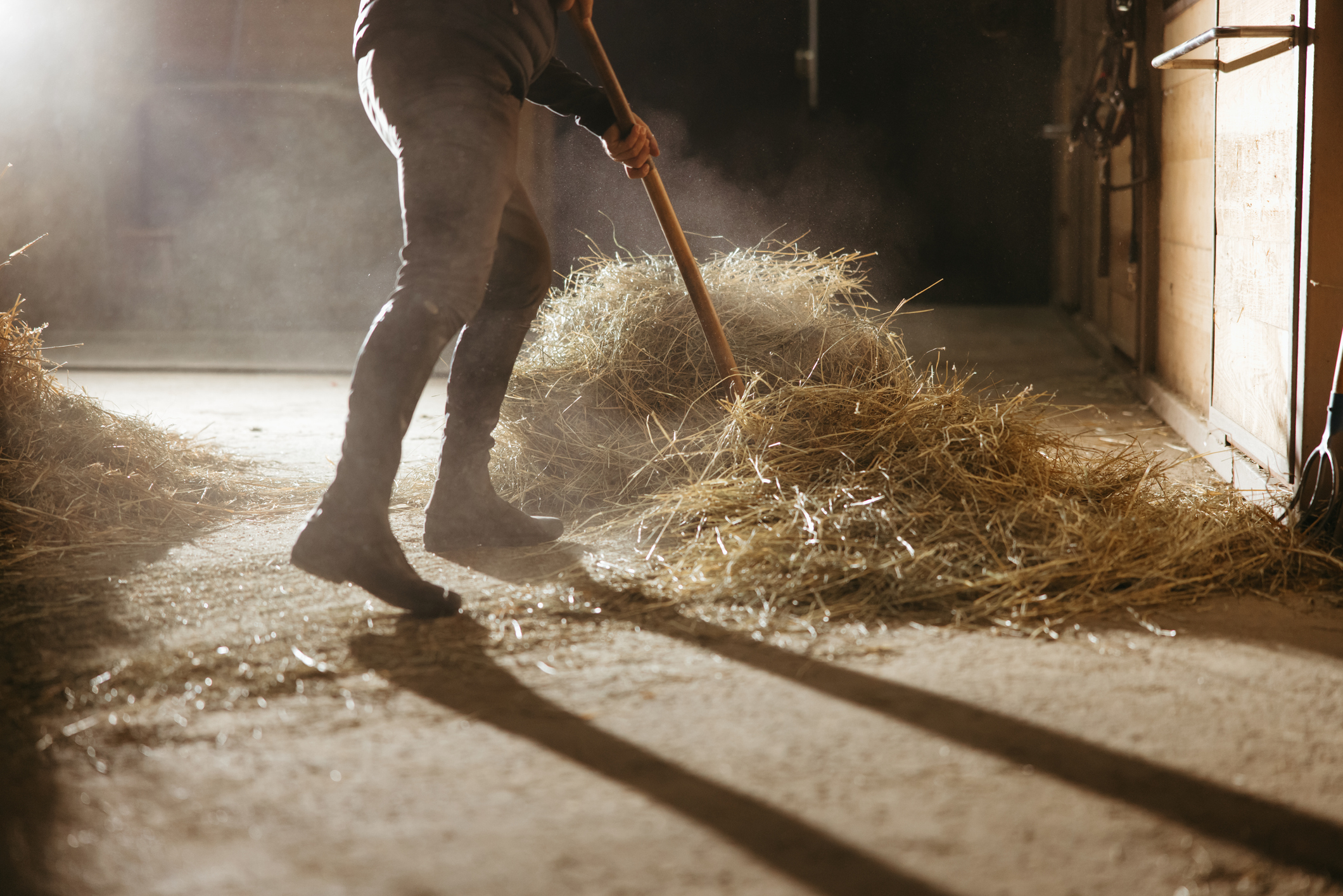 How to Clean Your Horse Stable | Blain's Farm & Fleet Blog