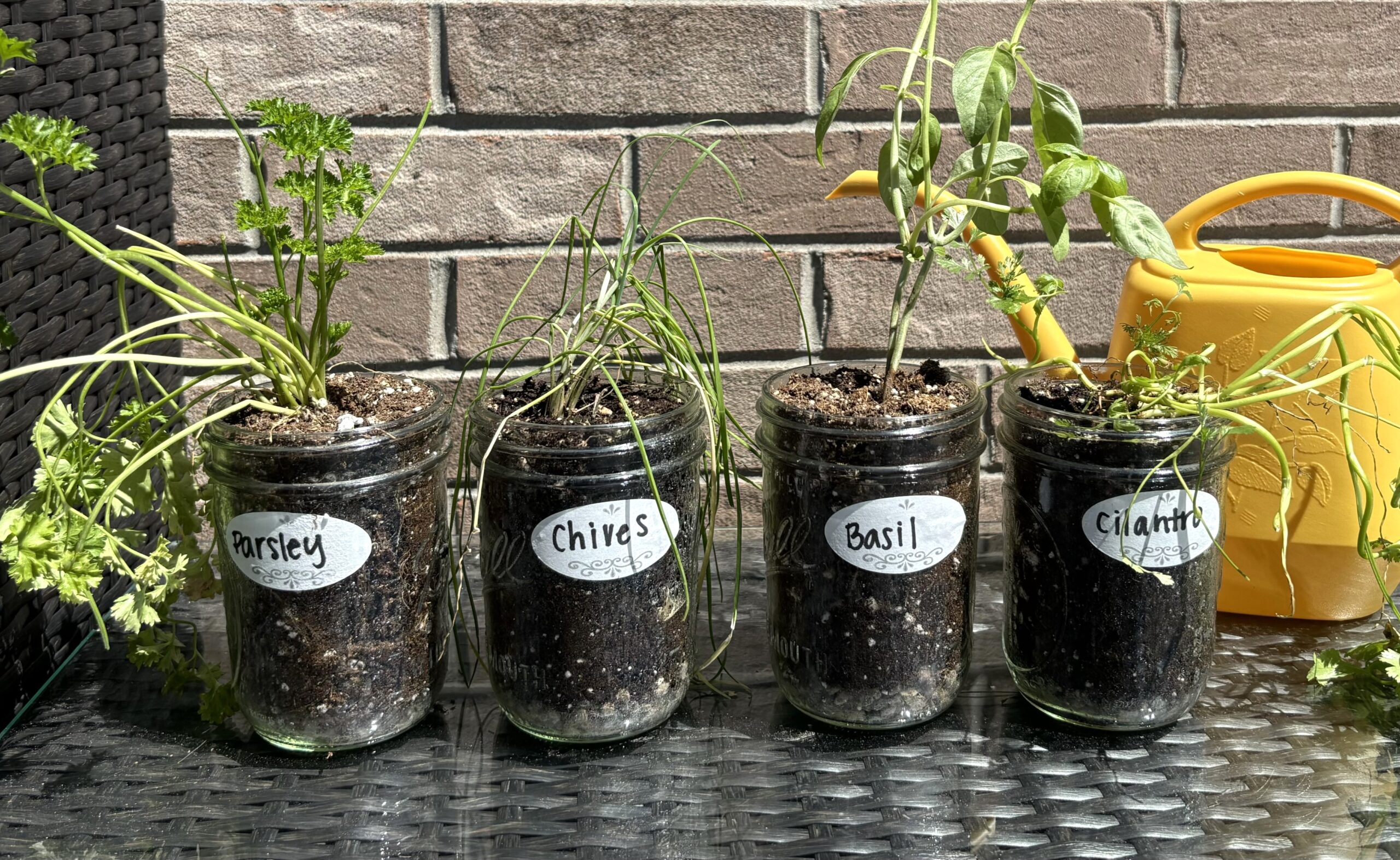 How to Grow a DIY Mason Jar Herb Garden | Blain's Farm & Fleet Blog
