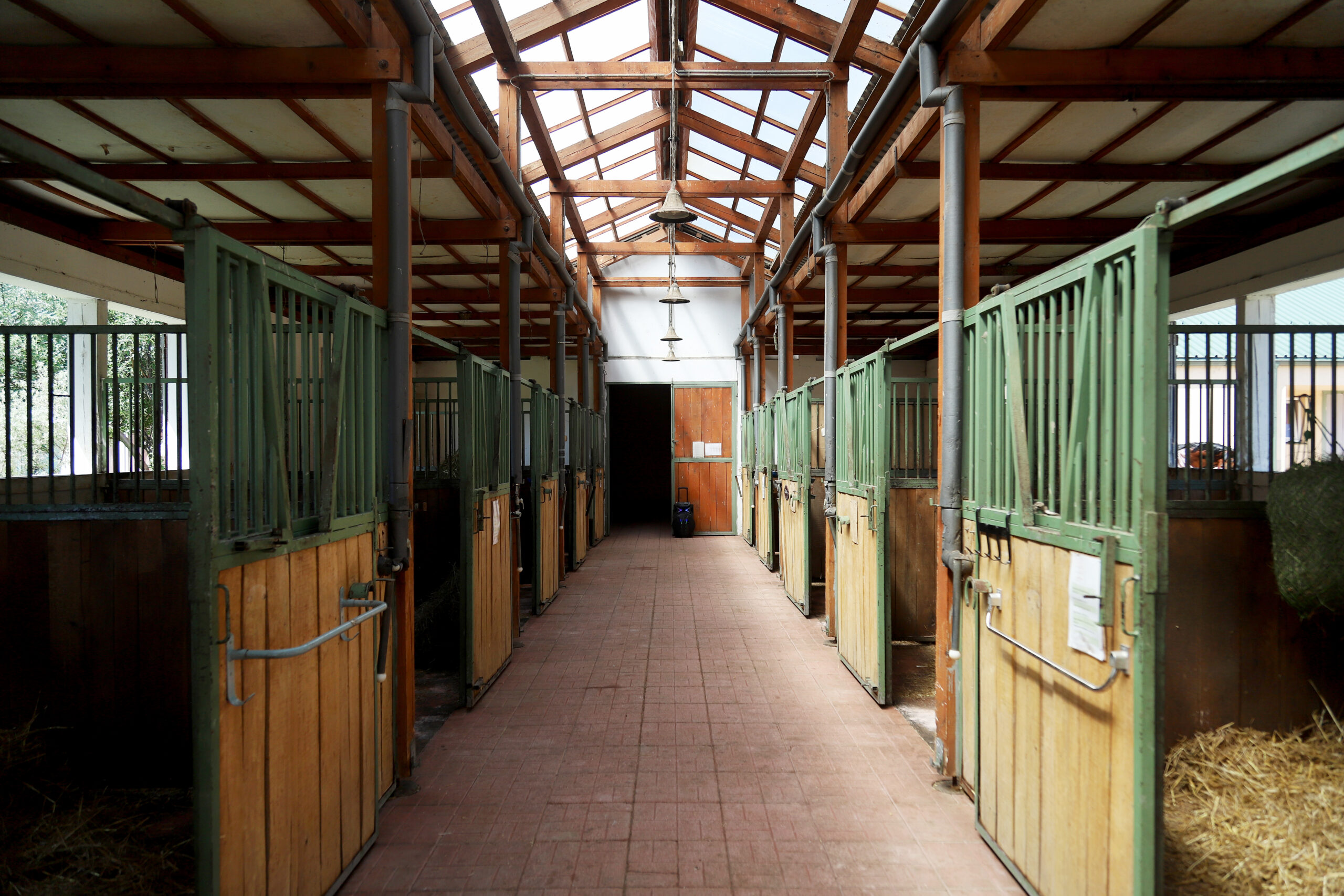 Your Complete Guide to Barn Lime Uses and Benefits | Blain's Farm ...