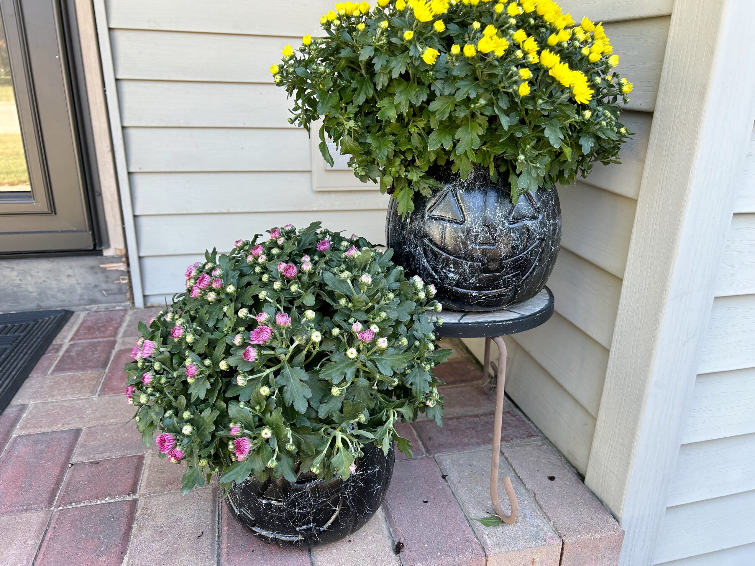 Easy DIY Fall Decor: Plastic Pumpkin Planter for Mums | Blain's Farm ...