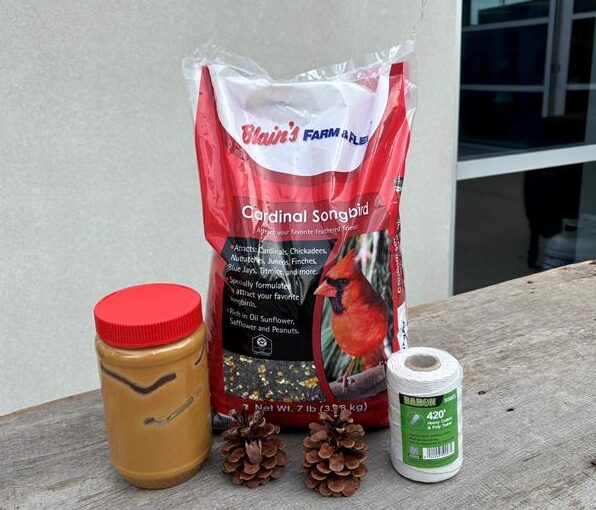 Easy DIY Pine Cone Bird Feeder | Blain's Farm & Fleet Blog