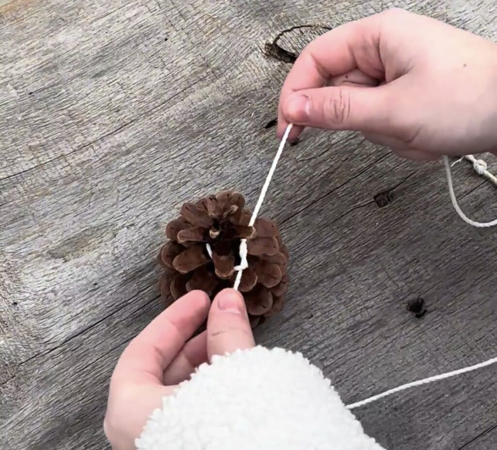 Easy DIY Pine Cone Bird Feeder | Blain's Farm & Fleet Blog