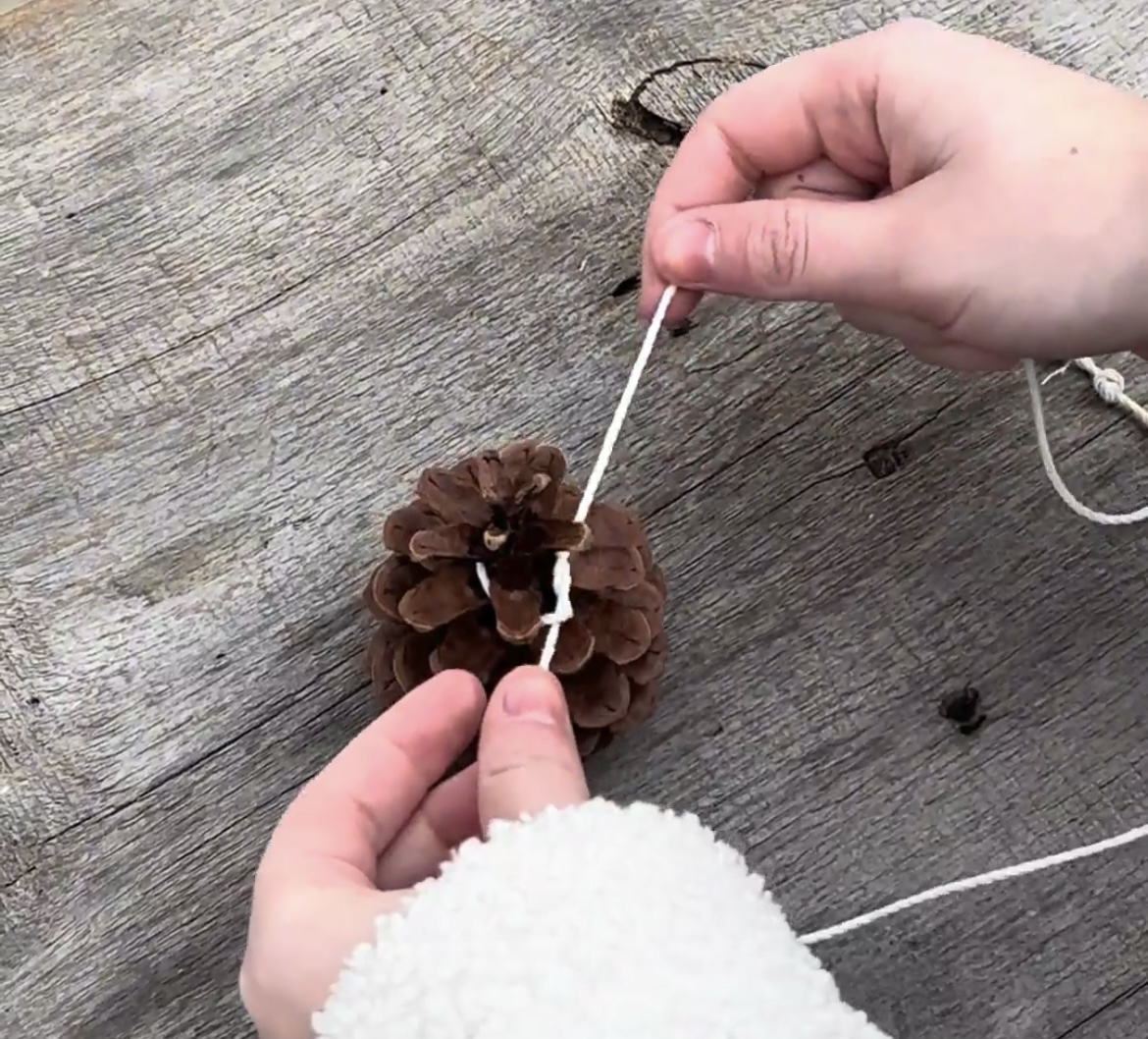 Pine-Cone-Bird-Feeder-4 | Blain's Farm & Fleet Blog