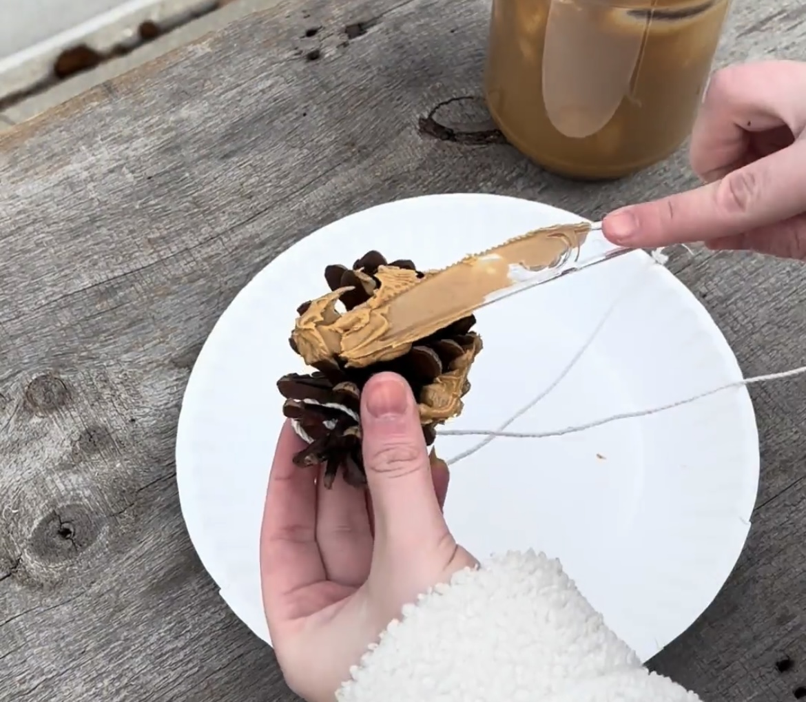 Pine-Cone-Bird-Feeder-5 | Blain's Farm & Fleet Blog