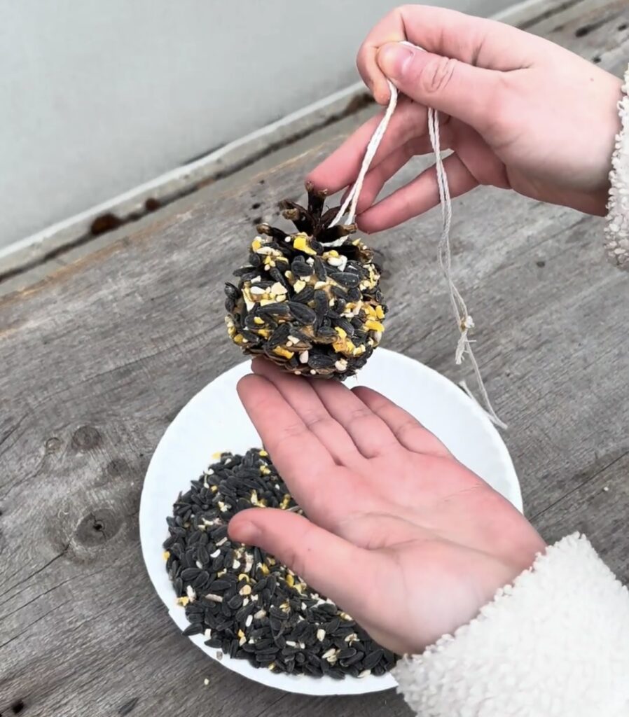 Easy DIY Pine Cone Bird Feeder | Blain's Farm & Fleet Blog