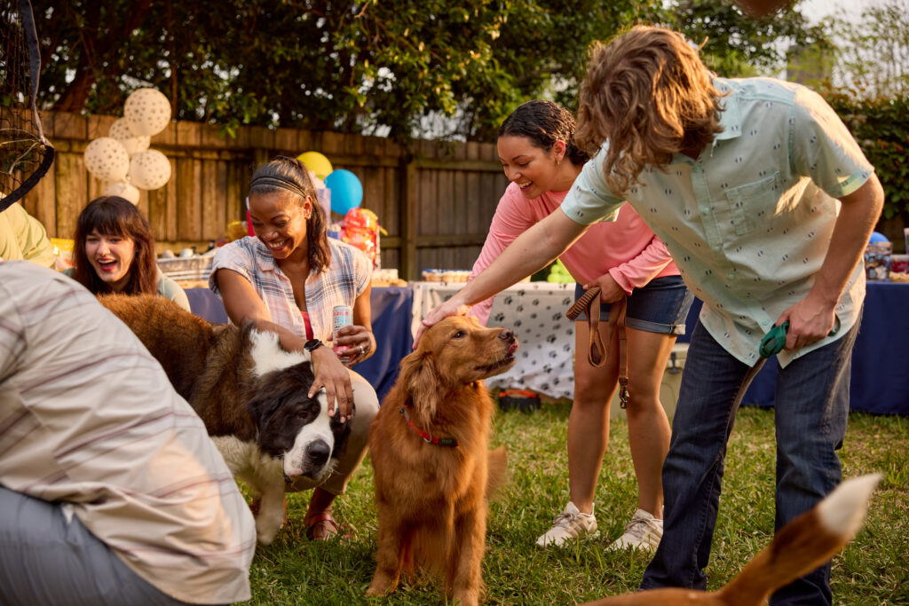 How to Throw a Dog Birthday Party | Blain's Farm & Fleet Blog