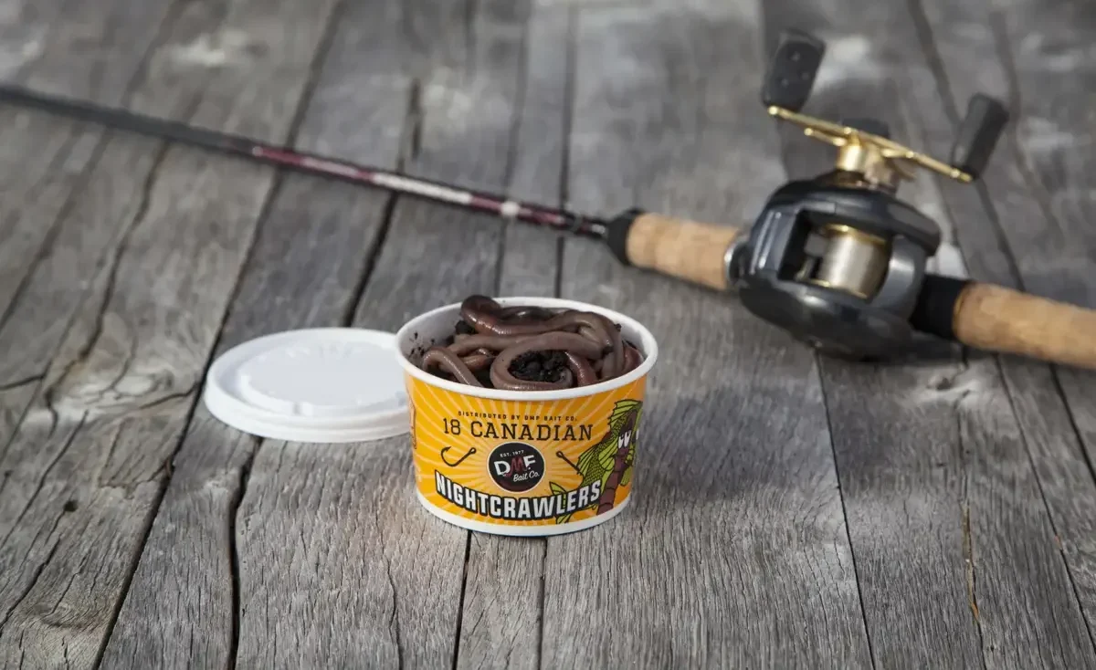 Catch More Fish with Live Bait from Blain's Farm & Fleet | Blain's Farm ...